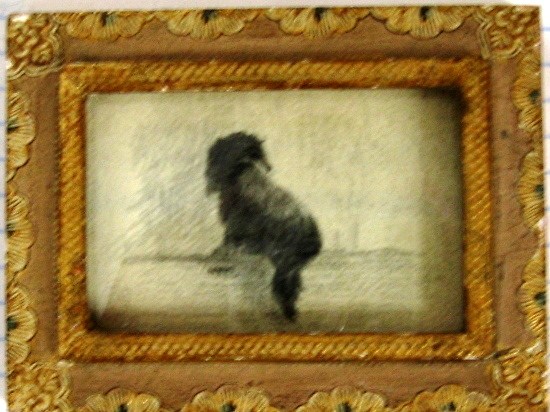 Nancy Van Meter - Dog and Horse